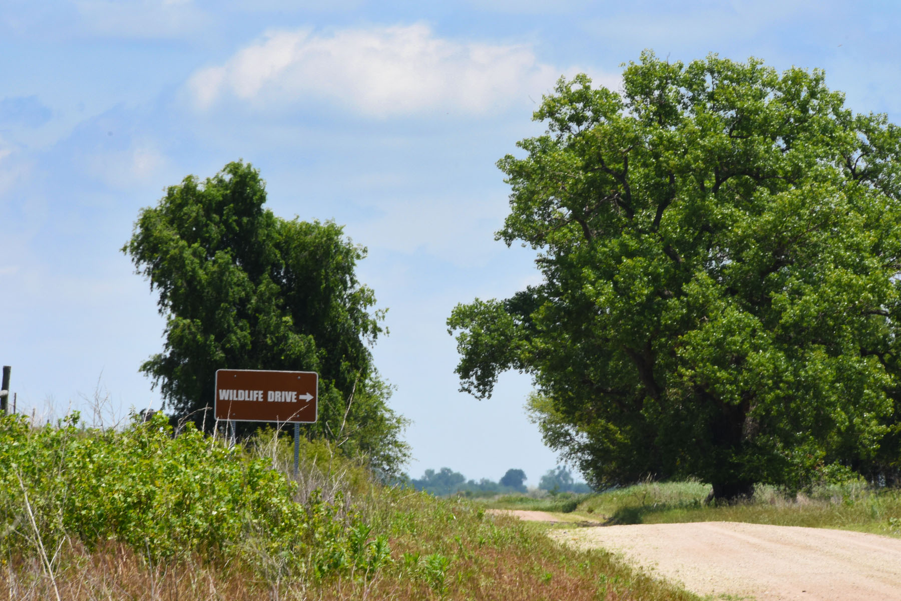 Hiking Kansas: Wildlife Drive at the Quivira Wildlife National Refuge ...